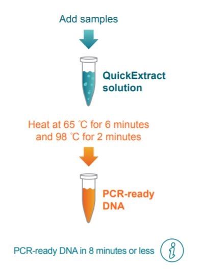 QuickExtract™ DNA Extraction Solution