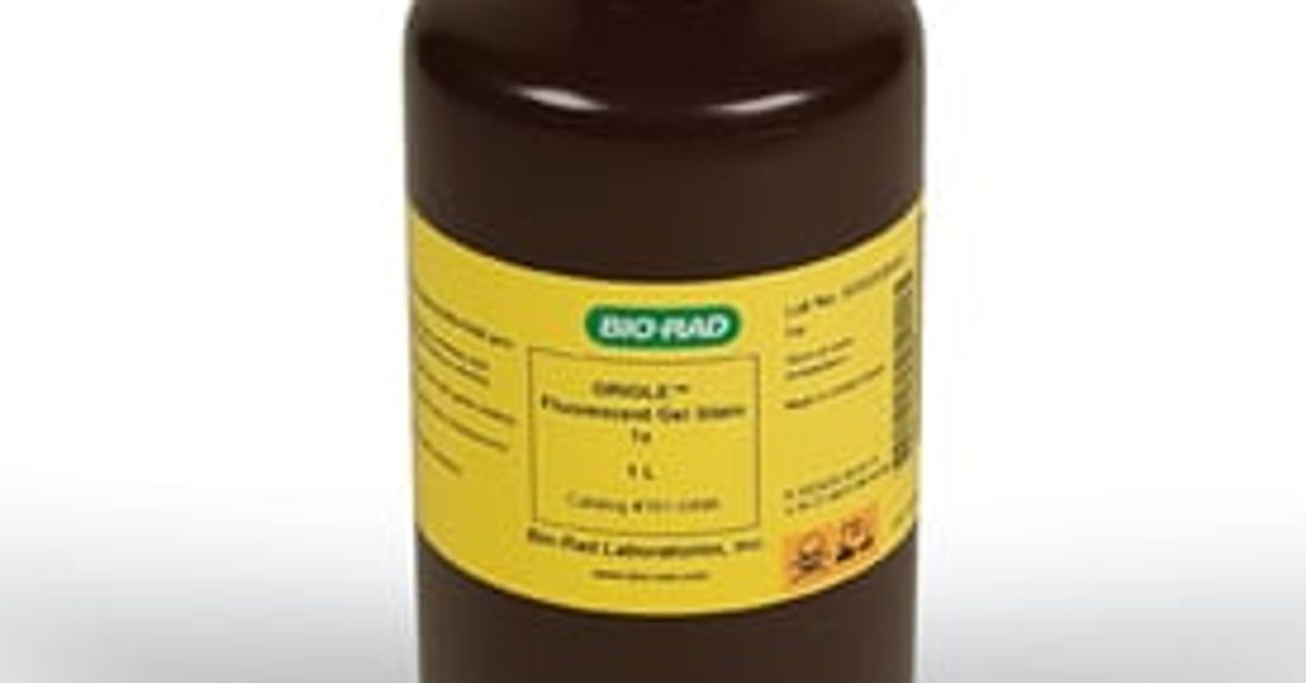 Buy Oriole Fluorescent Gel Stain Read Reviews