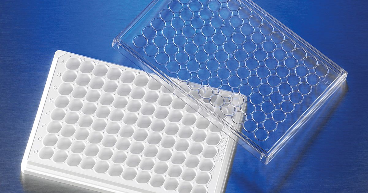 HTS Transwell®-96 Receiver Plate, White, TC-treated, Sterile