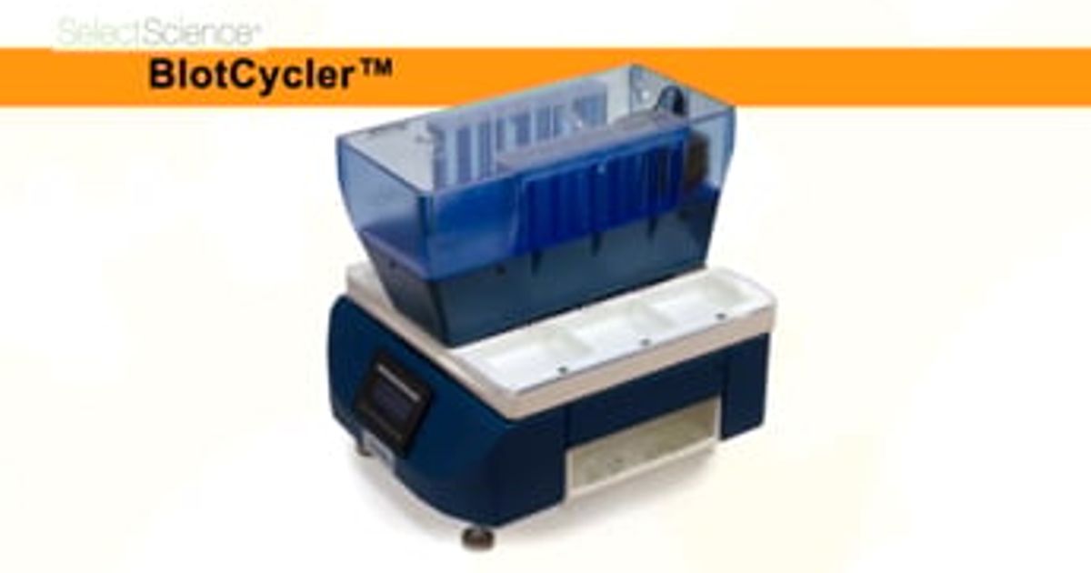 Automated Western Blot Technology from Precision Biosystems