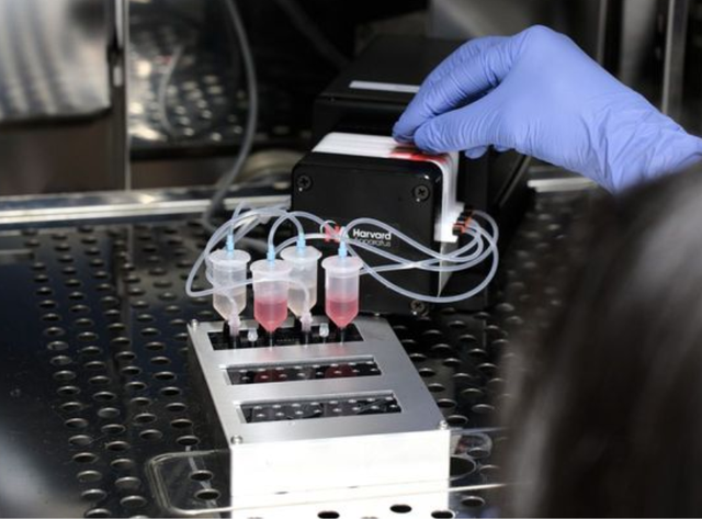 Dynamic42 closes a critical gap in organ-on-chip research by embedding ...