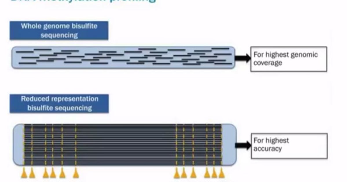 DNA Methylation Analysis by Multiplexed Reduced Representation ...