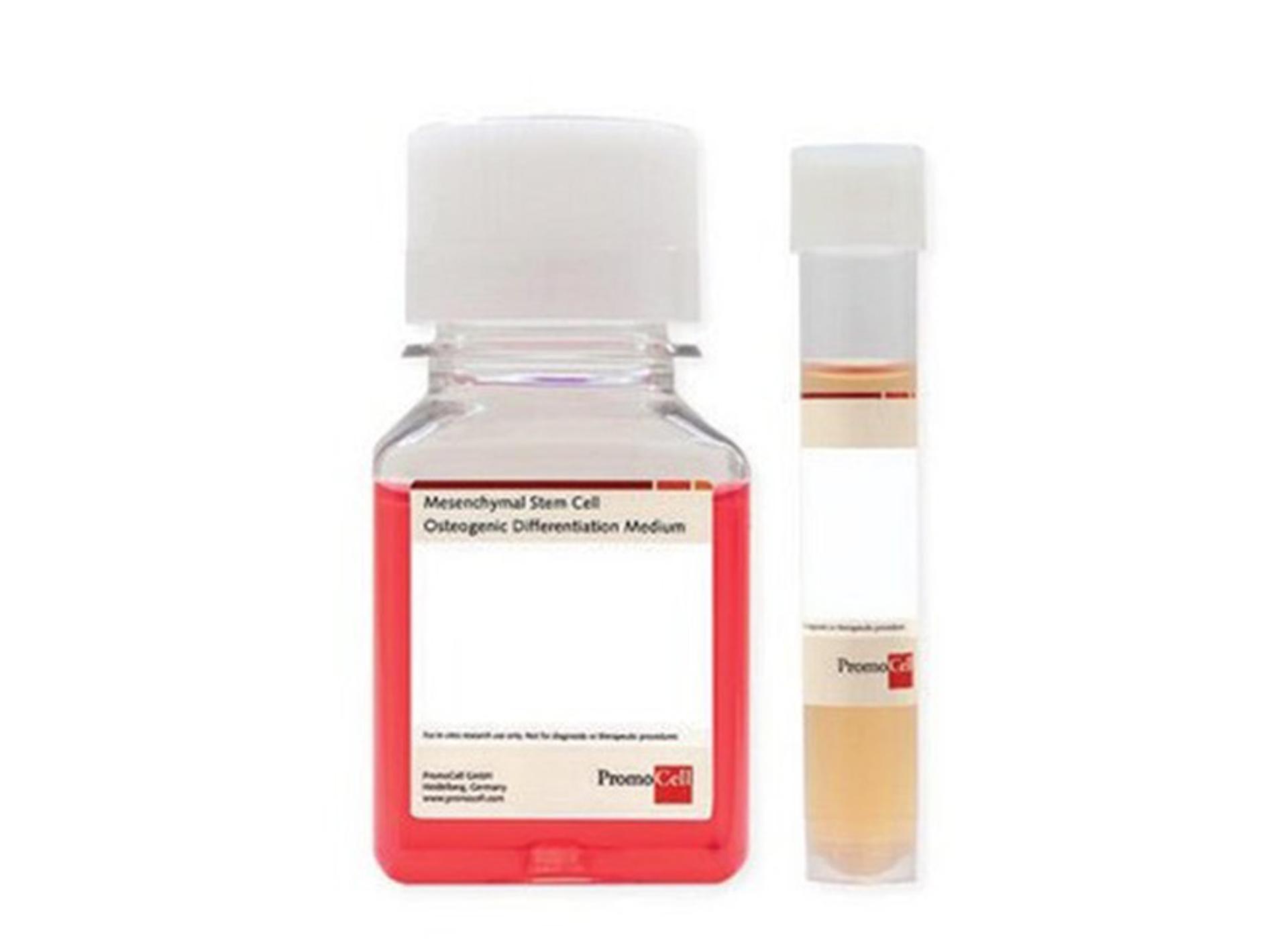 Buy Thermo Scientific™ PageRuler™ Plus Prestained Protein Ladder, 10 to ...