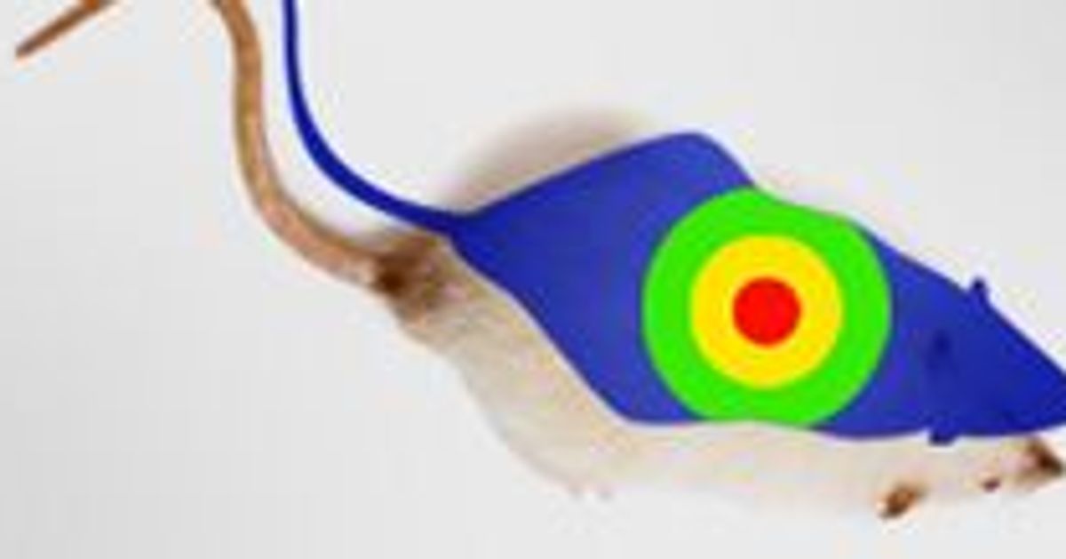 Horizon Discovery and Promega Launch Suite of X-MAN Reporter Kits