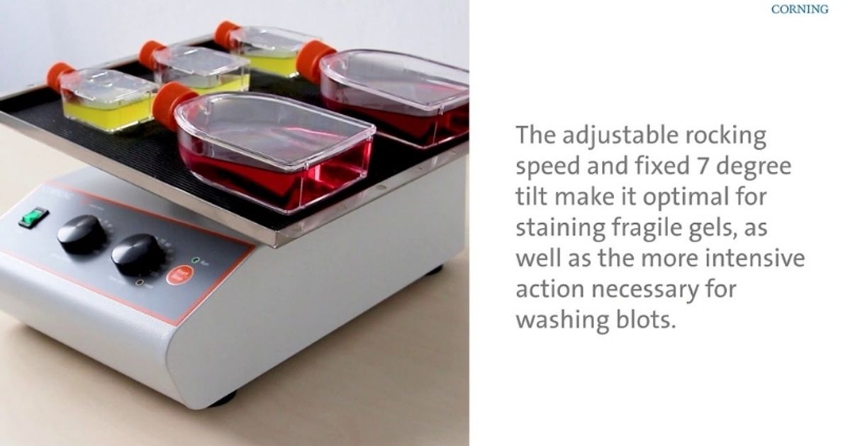 Features of the Corning LSE Platform Rocker