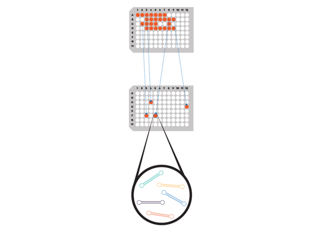 A new era of DNA synthesis: Improving speed, scalability and sustainability
