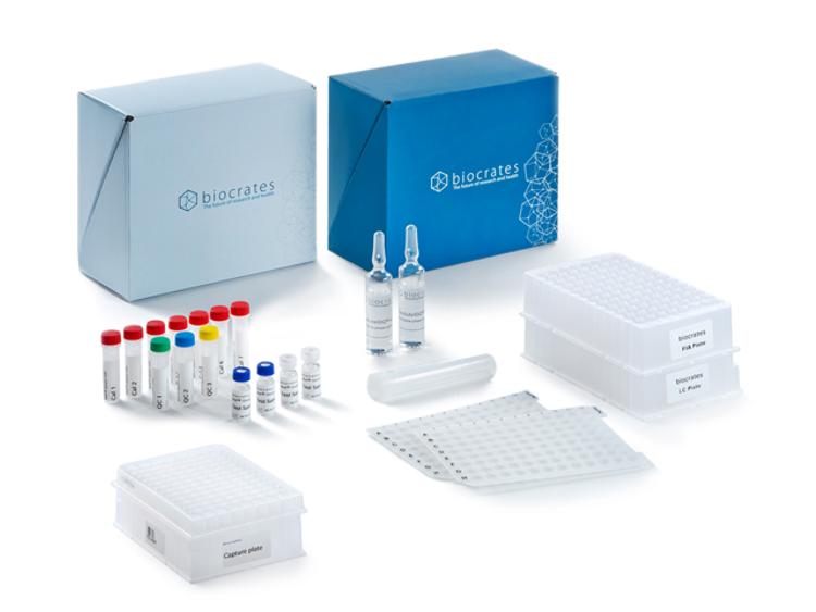 Trans-Blot® Turbo™ RTA Midi Nitrocellulose Transfer Kit, for 40 blots ...