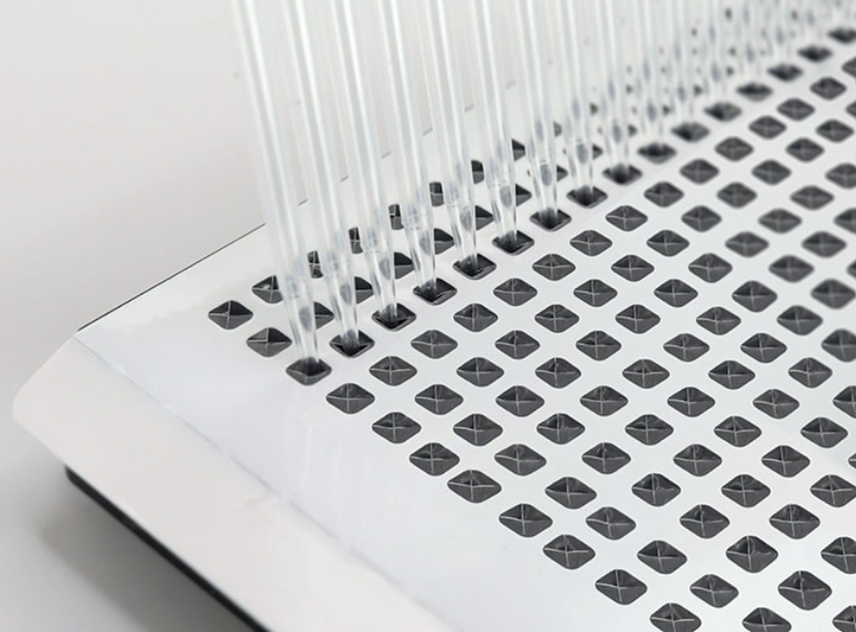 Invitrogen™ SeeBlue™ Plus2 Pre-stained Protein Standard