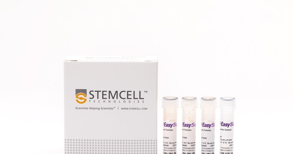 EasySep™ Human CD8+ T Cell Enrichment Kit