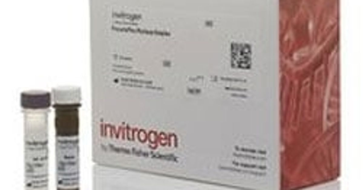 Invitrogen™ MER (MerTK) Human ProcartaPlex™ Simplex Kit | SelectScience