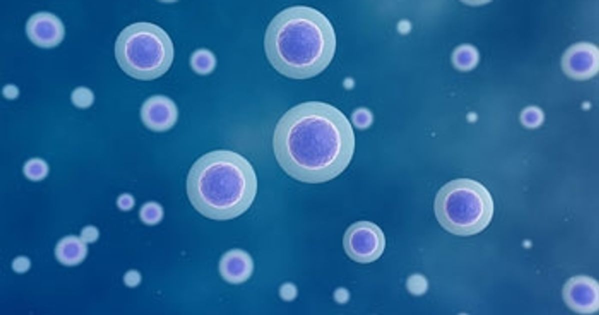 Highly characterized, high purity exosome standards