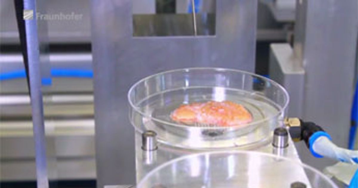 The Skin Factory – Automated Tissue Culture
