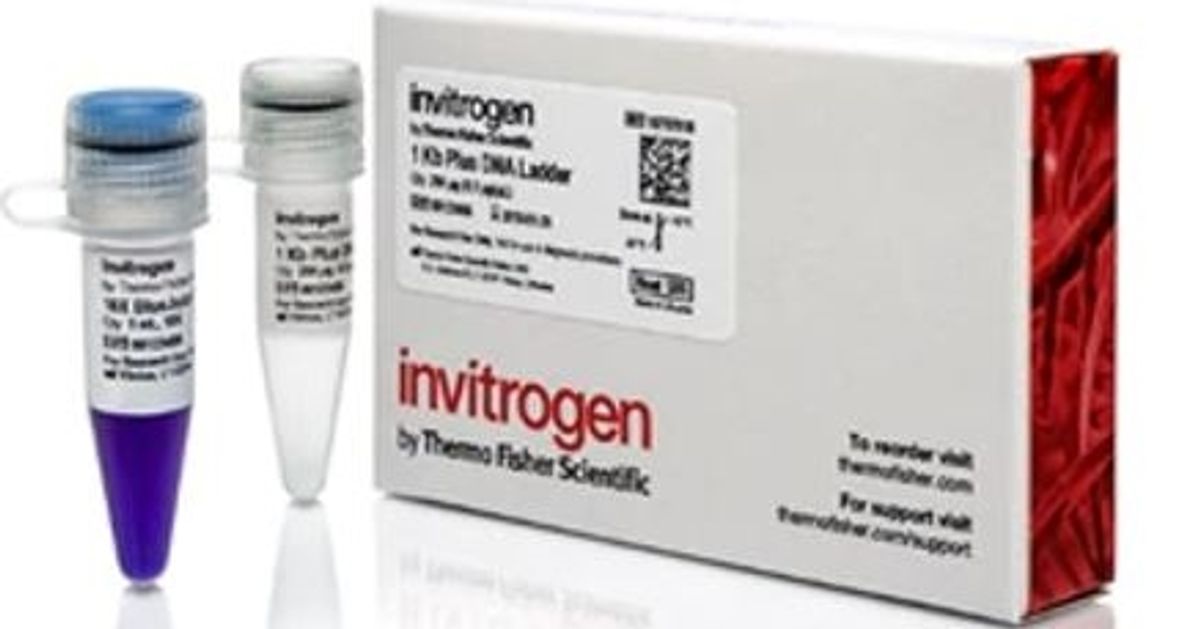 Invitrogen™ DNA ladders | SelectScience