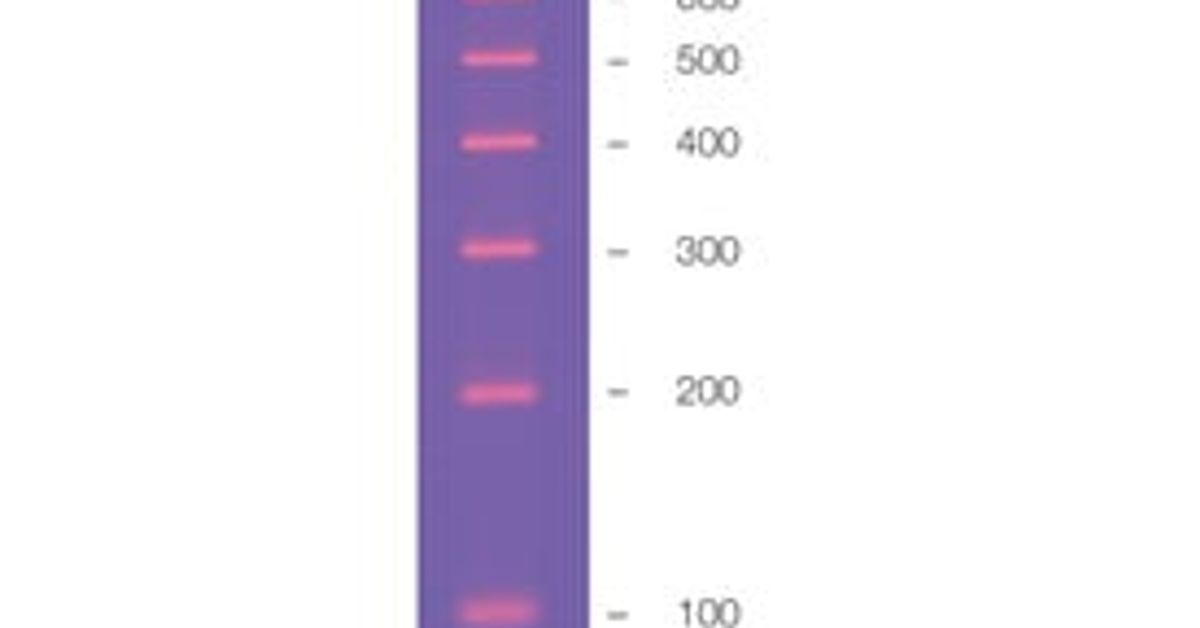 EZ Load 100 bp Molecular Ruler | SelectScience