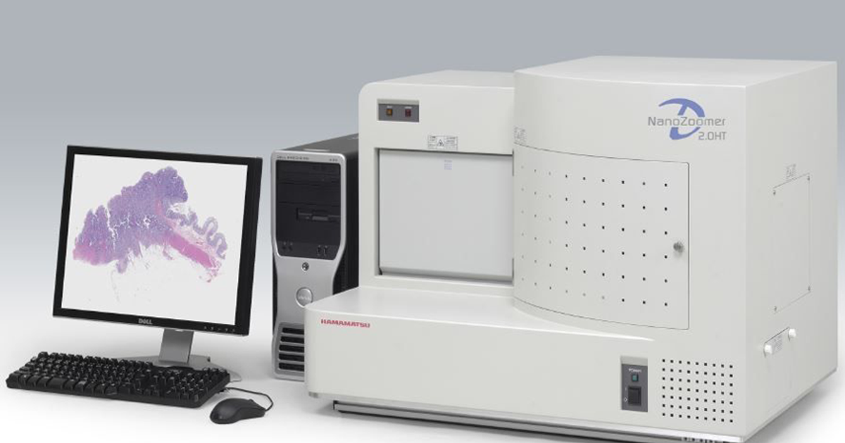Digital Pathology Services