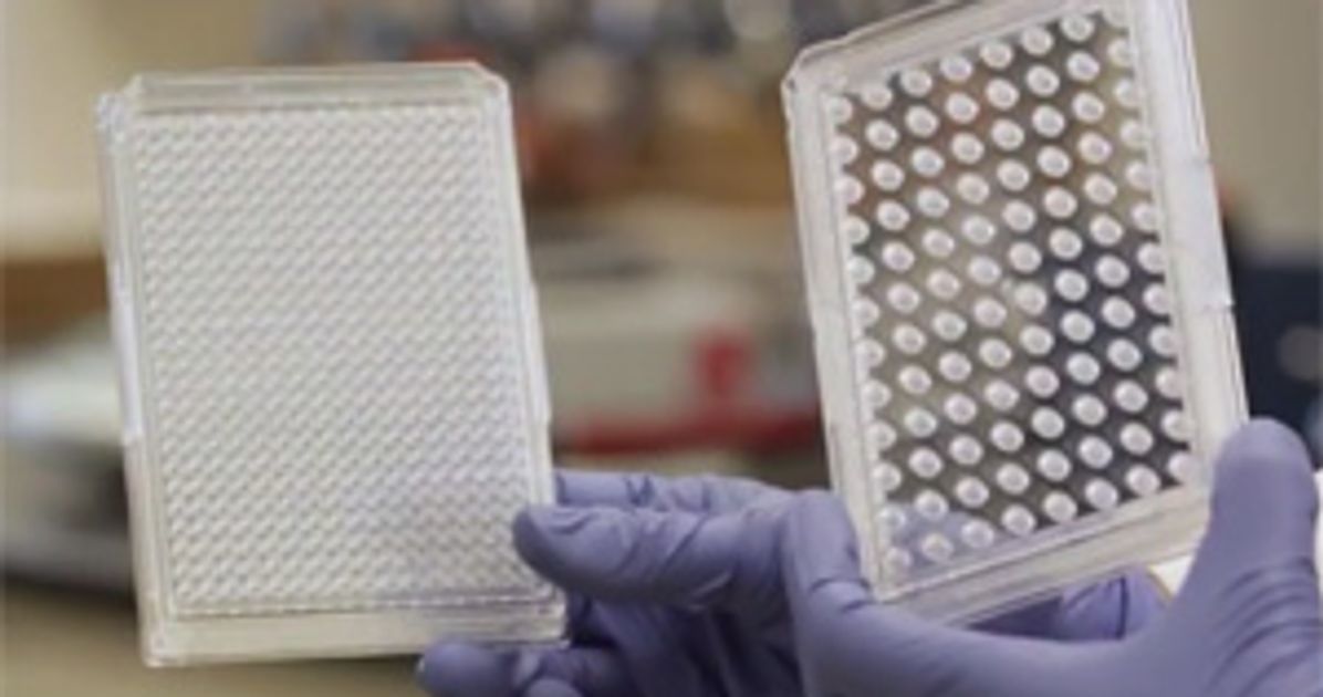 3D Cell Culture using Perfecta3D Hanging Drop Plates from 3D Biomatrix