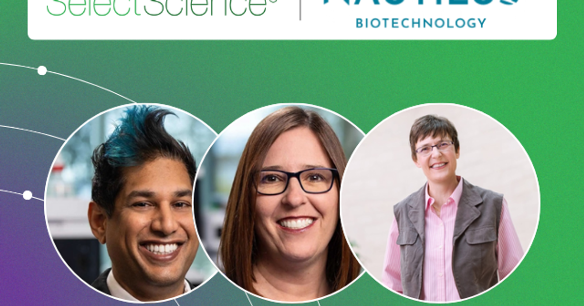 Advancing next-generation proteomics with single-molecule Iterative Mapping