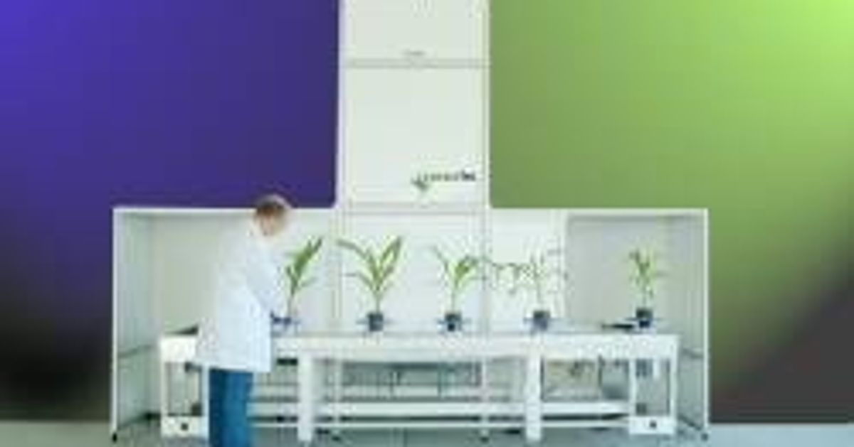 Scanalyzer High Throughput Plant Phenotyping