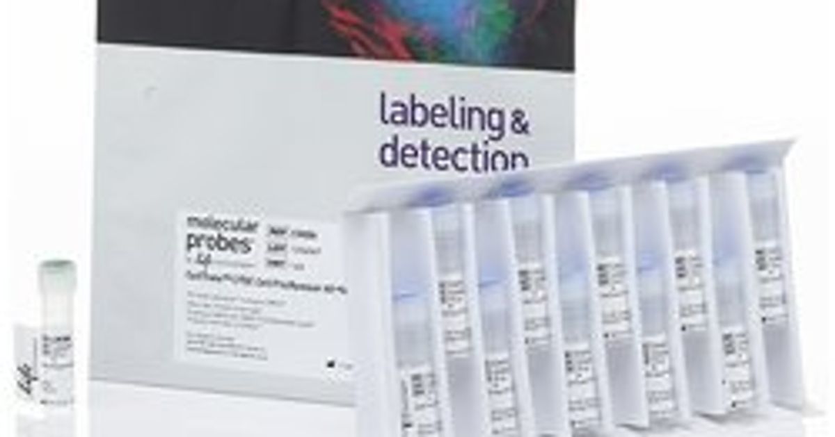 Invitrogen™ CellTrace™ CFSE Cell Proliferation Kit reviews