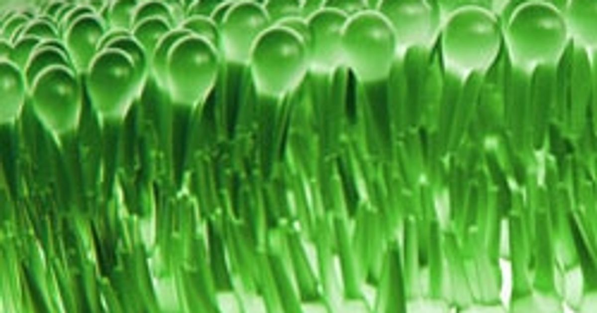 Avanti® Polar Lipids SPLASH® LIPIDOMIX® reviews