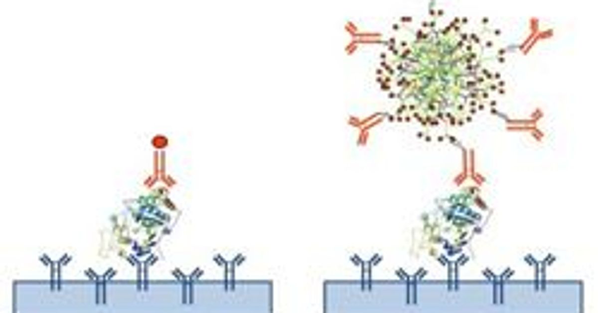 Genisphere Licenses 3DNA Dendrimer Signal Amplification Technology to ...