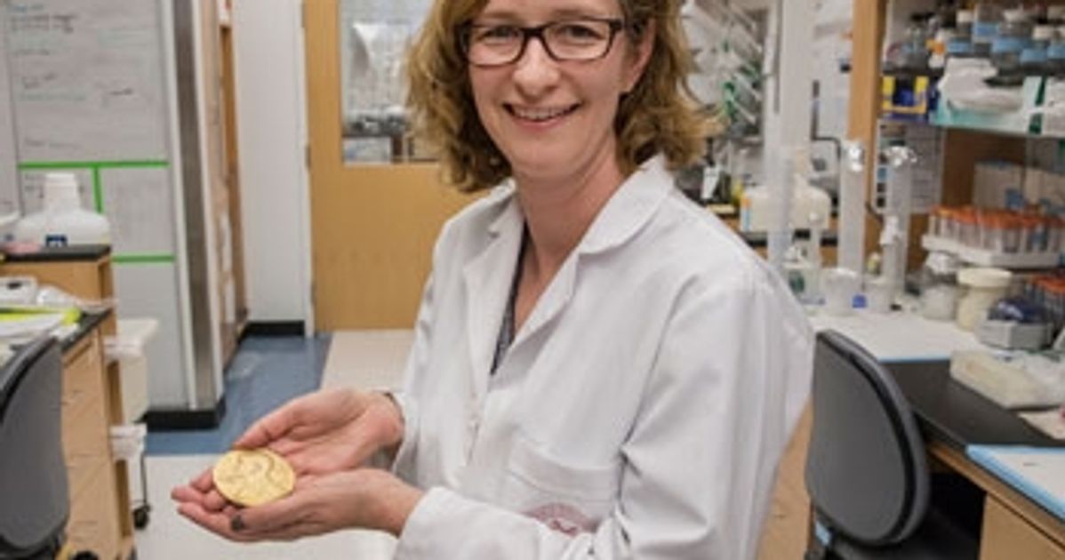 The Mechanisms Behind DNA Repair: A New Method and a Nobel Prize ...