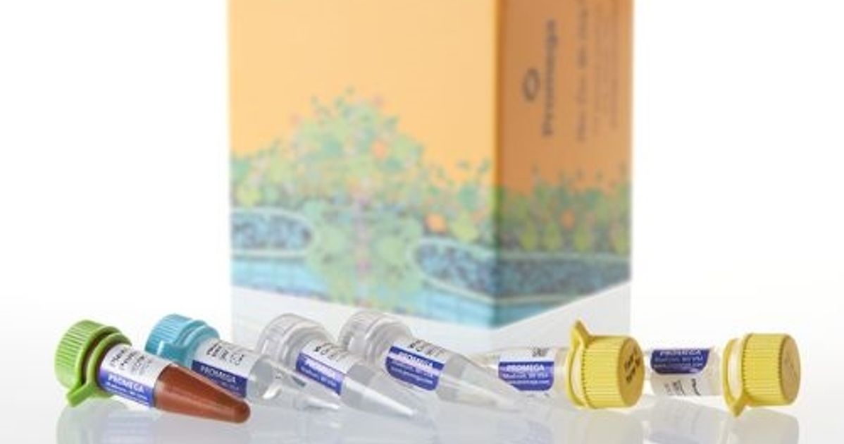 Plexor® HY System reviews