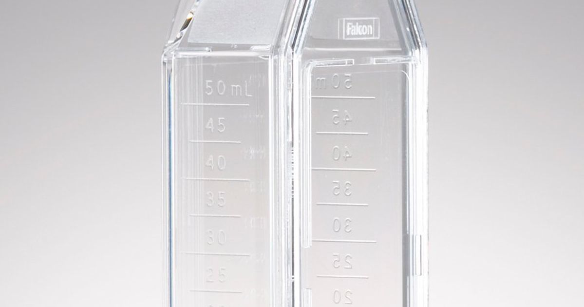 Falcon® 25cm² Rectangular Canted Neck Cell Culture Flask With Blue Plug