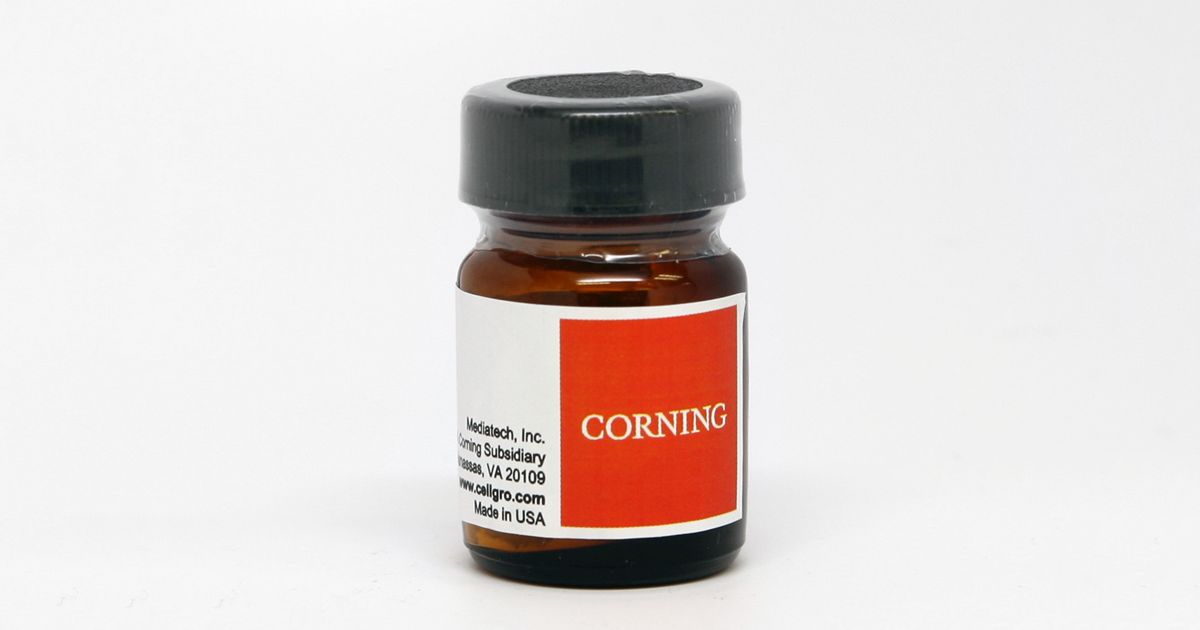 Corning® 5 g Kanamycin Sulfate, Powder
