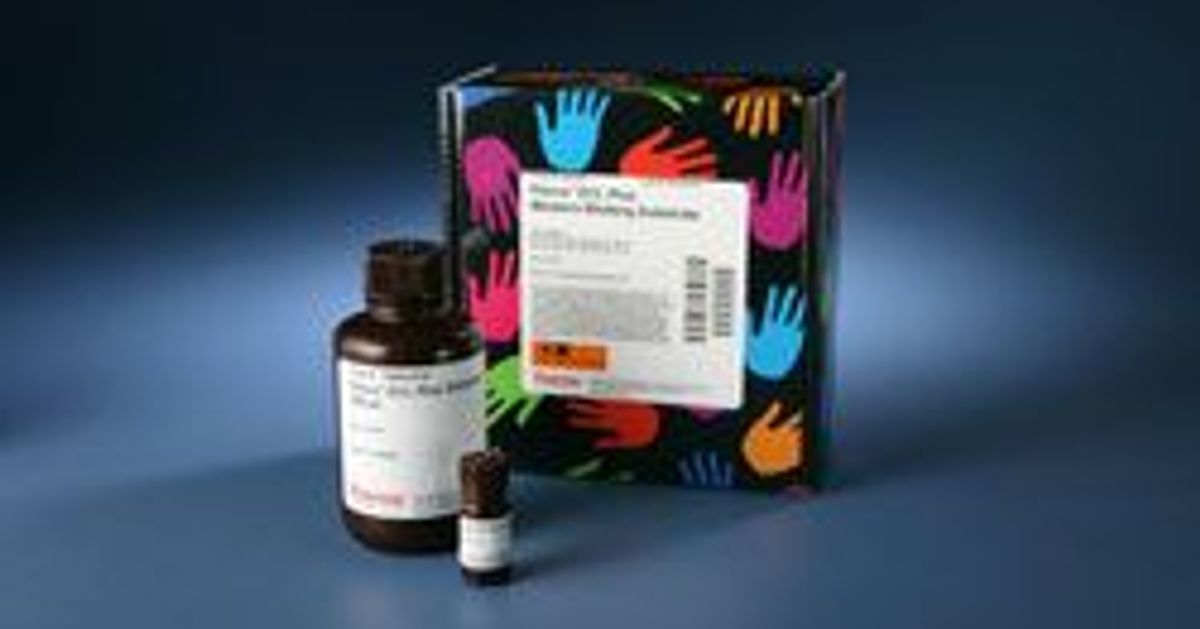 Thermo Fisher Scientific Announces New Chemiluminescent Option for ...