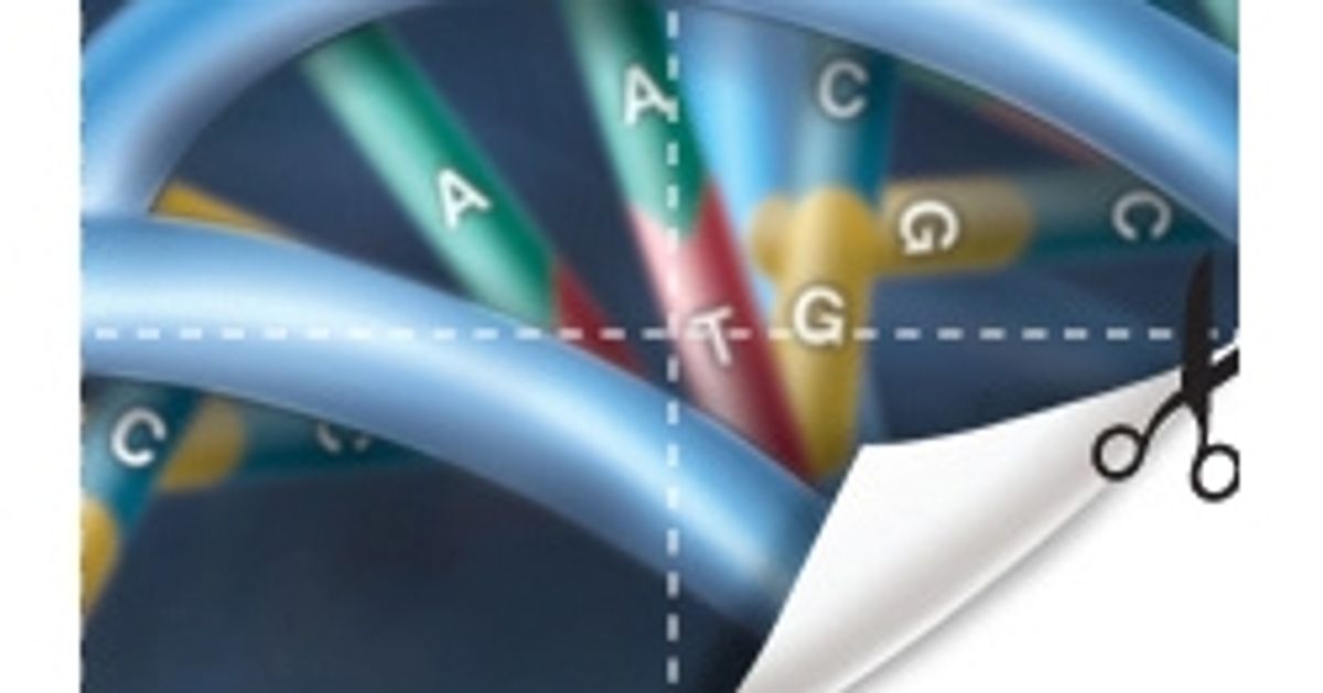 Buy NEB RE-Mix® Restriction Enzyme Master Mixes Read Reviews