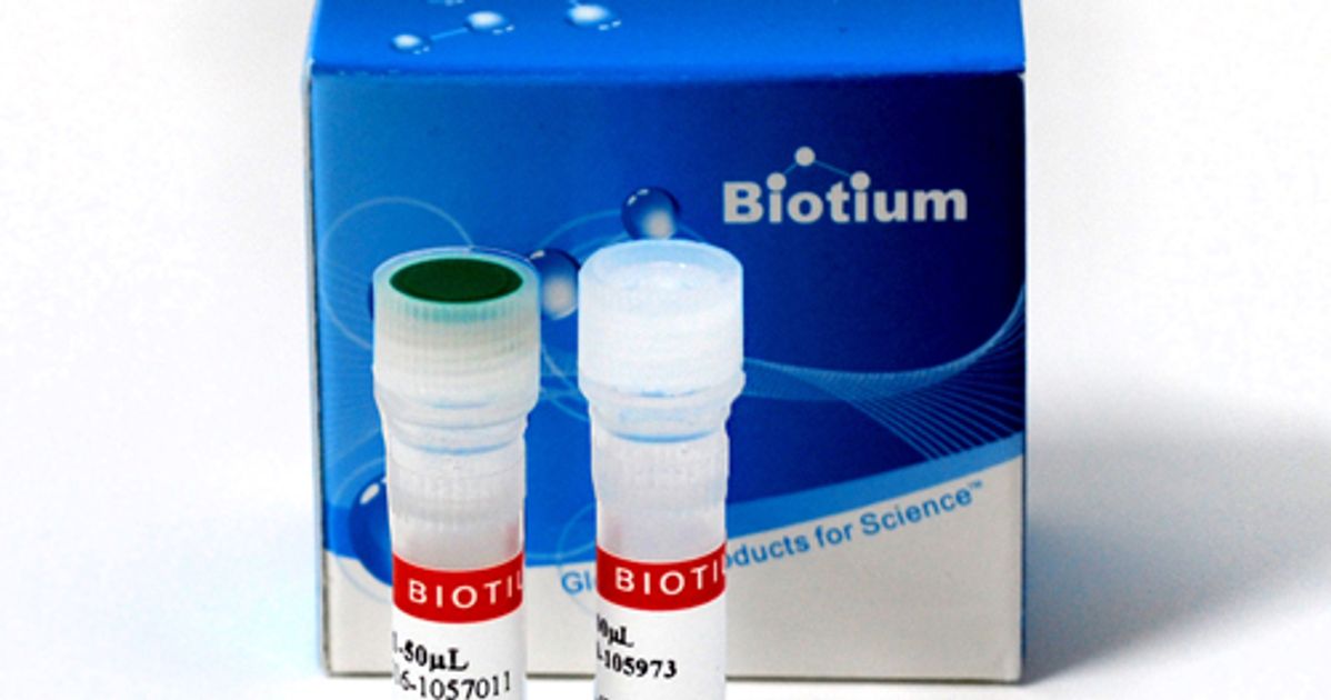 Buy NucSpot® Live Cell Nuclear Stains Read Reviews
