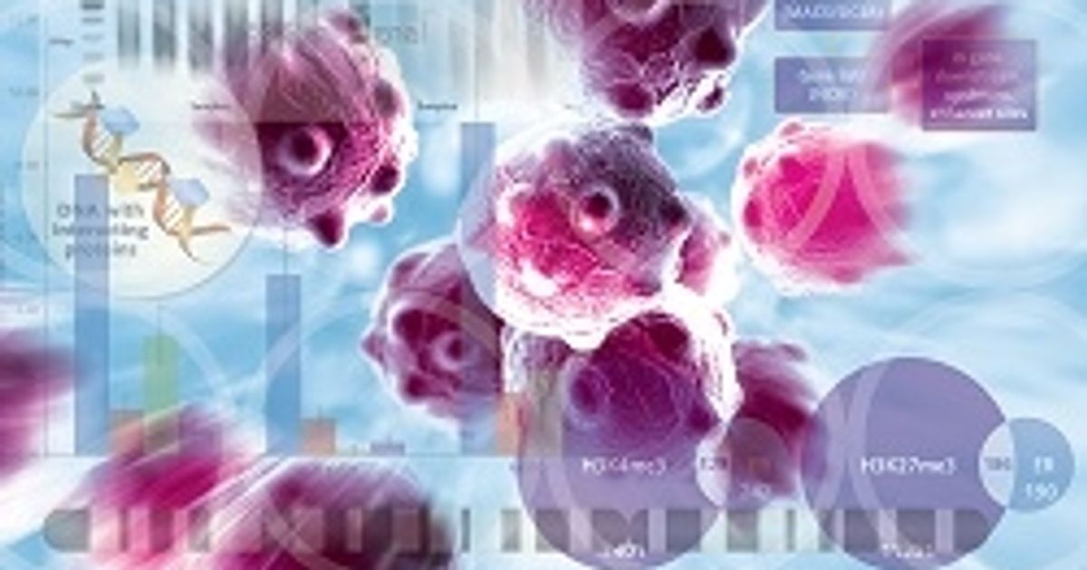 Informative ChIP Applications Compendium Helps to Improve ChIP-Seq ...