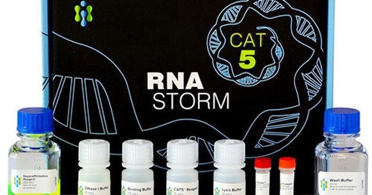 CELLDATA RNAstorm FFPE RNA Extraction Kit