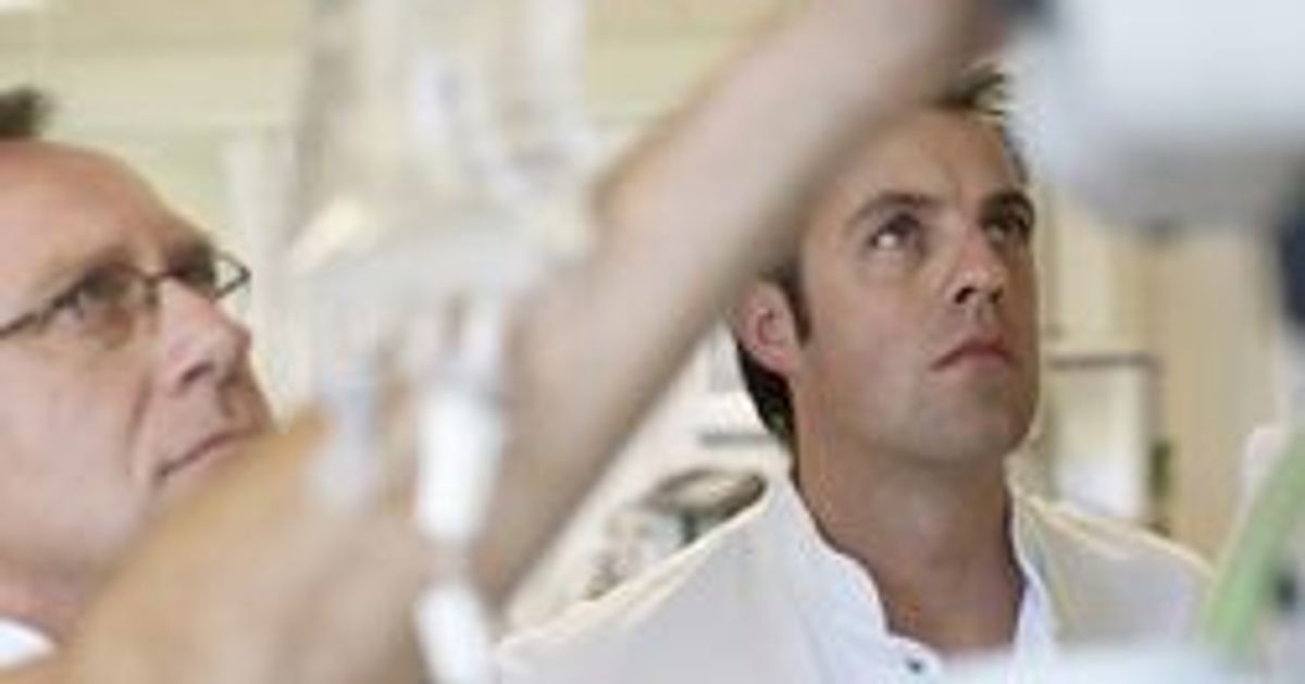 New Hepatitis C Assay from Roche Provides Accurate and Rapid Results