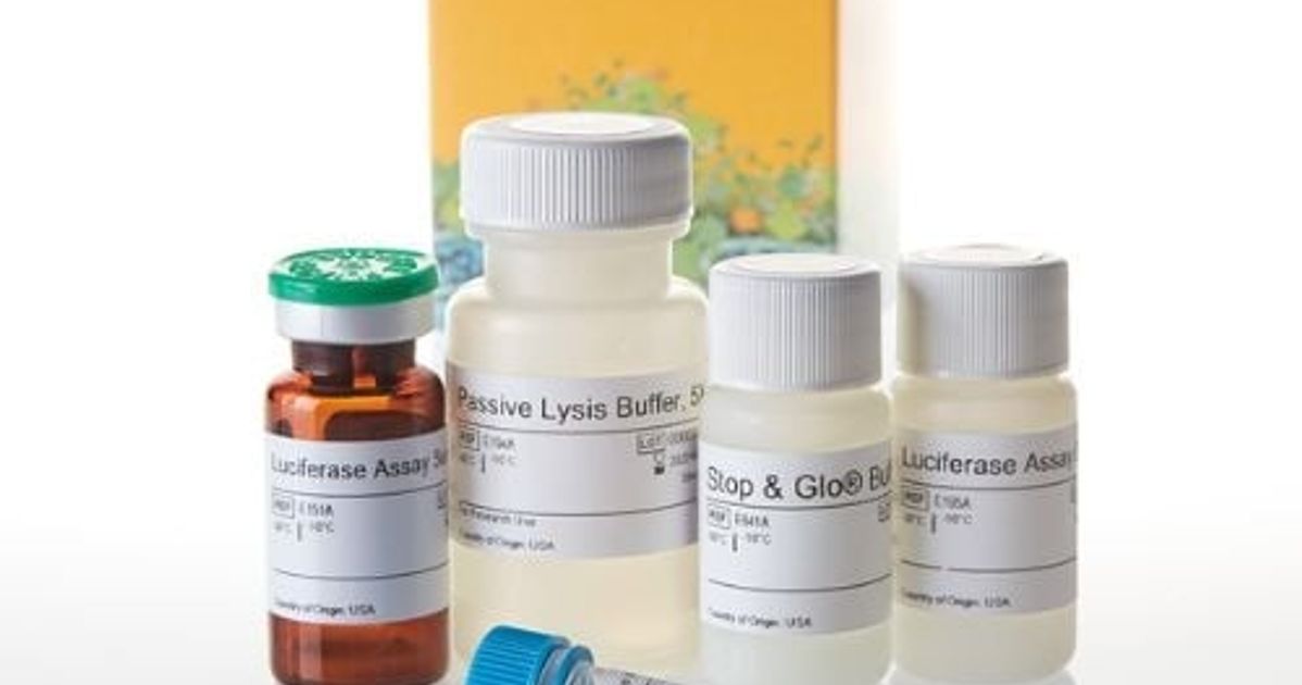 Dual-Luciferase ® Reporter Assay System