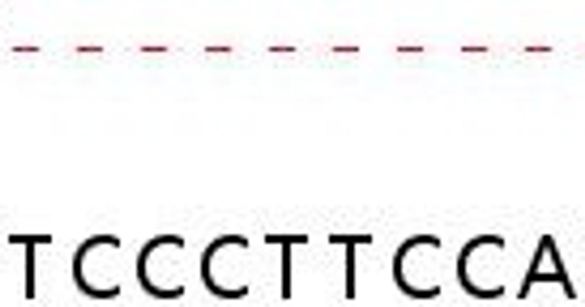 Buy Human CANX knockout HEK293T cell line Read Reviews