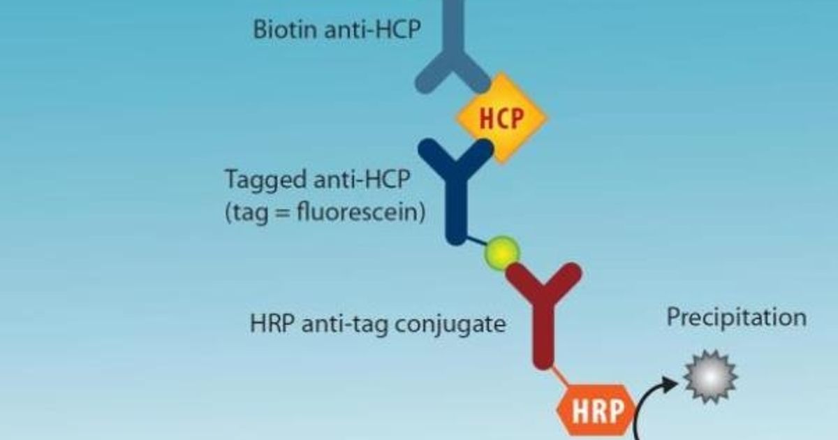 Detection Kit – Anti-CHO HCP