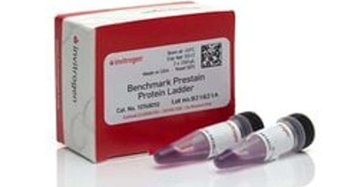 Invitrogen™ BenchMark™ Pre-stained Protein Ladder reviews