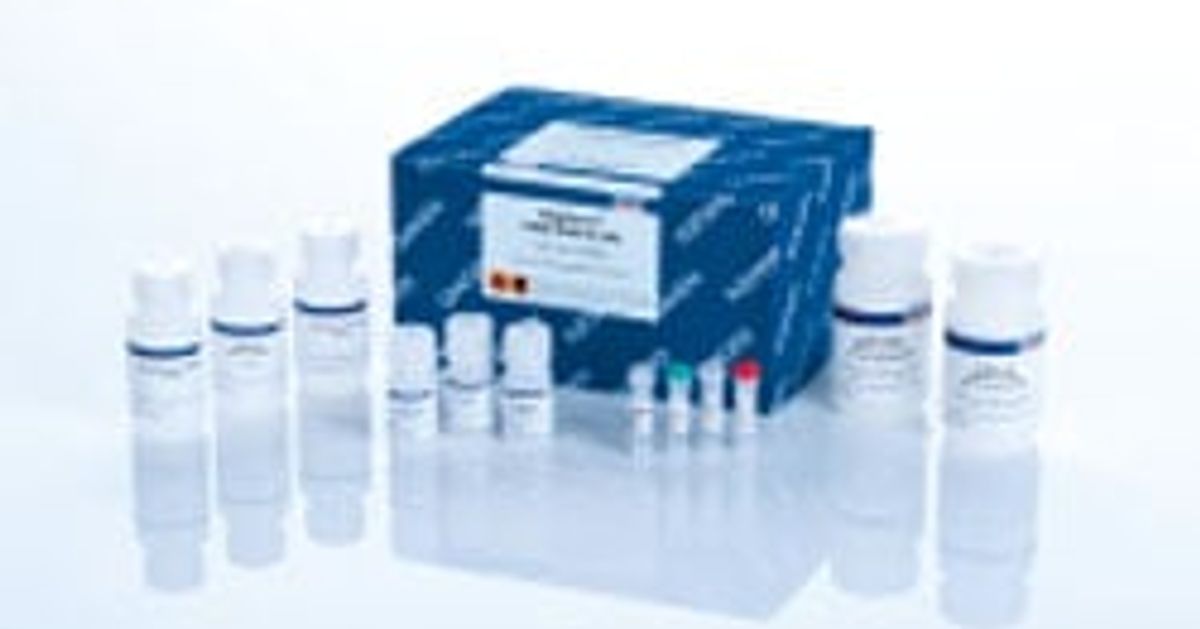 MagAttract HMW DNA Kit (48)