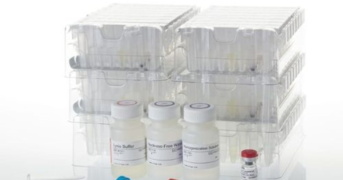 Buy Maxwell® RSC simplyRNA Cells Kit Read Reviews