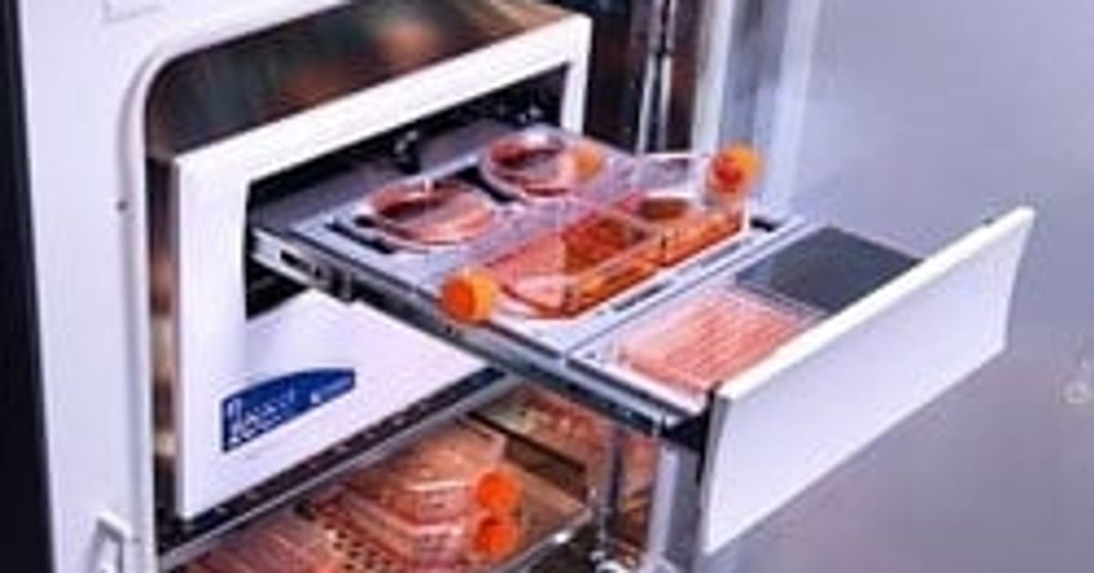 Essen Bioscience to Showcase Incucyte Live-cell Imaging System and ...