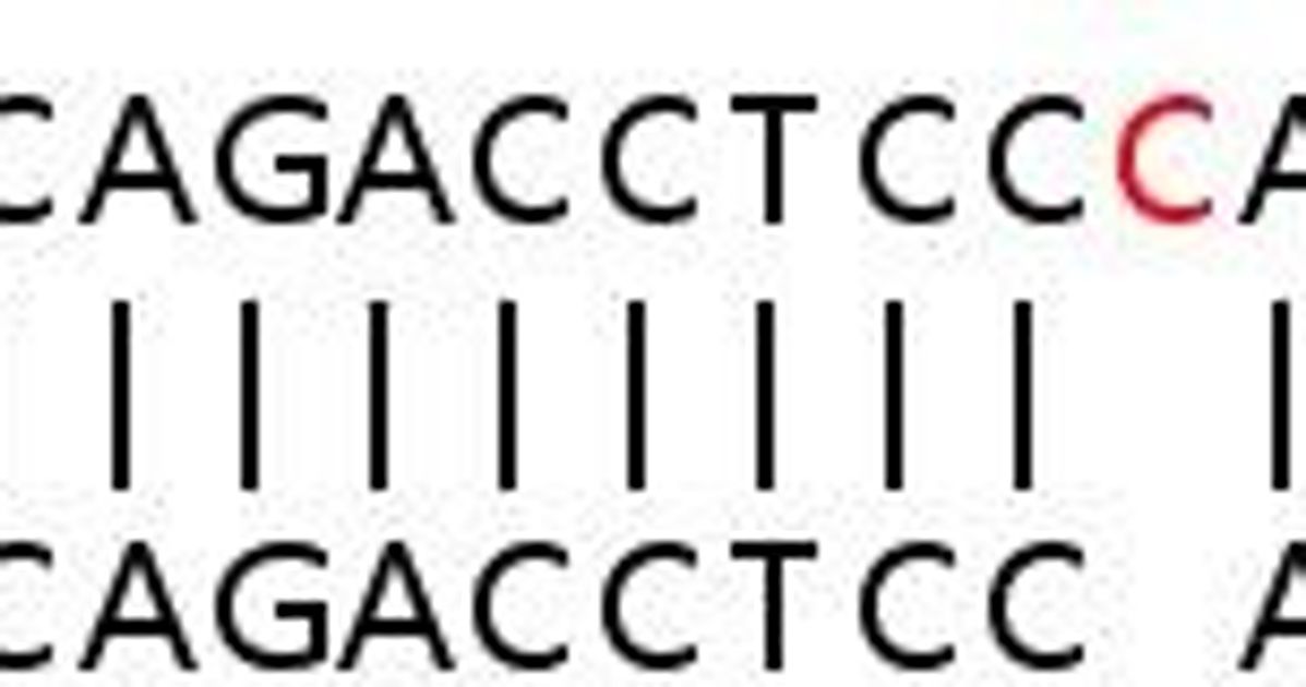 Human DAG1 knockout HEK293T cell line | SelectScience