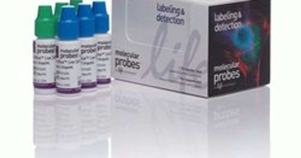 Invitrogen™ ReadyProbes™ Cell Viability Imaging Kit, Blue/Green