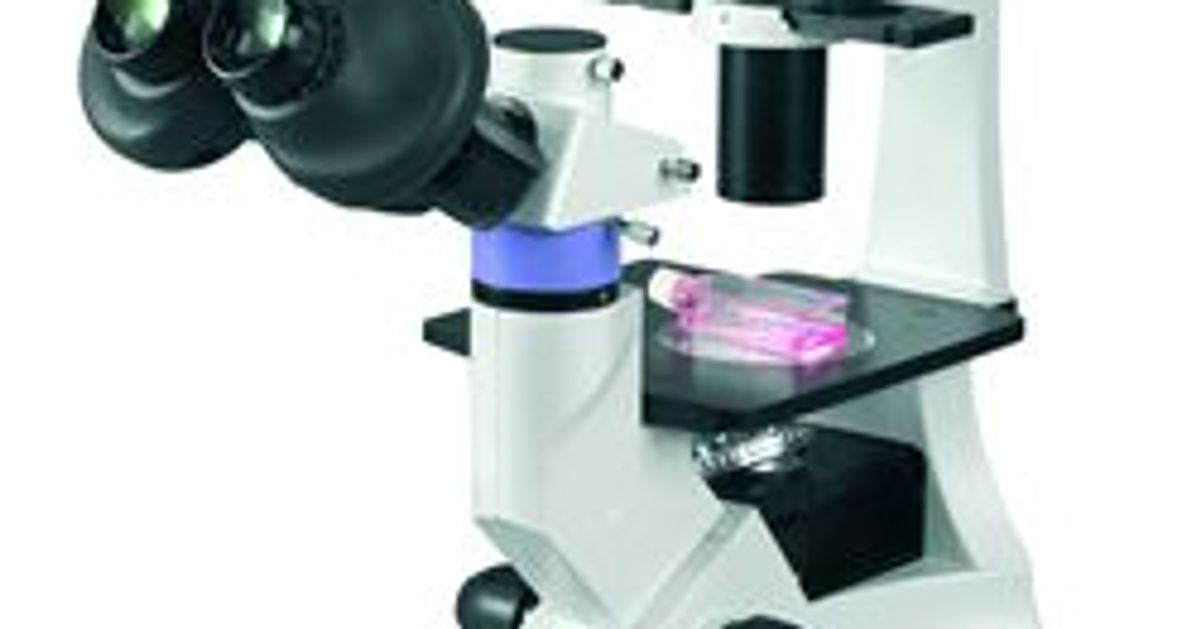 DX61 Inverted Routine Microscope