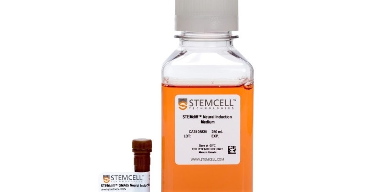 STEMdiff™ SMADi Neural Induction Kit