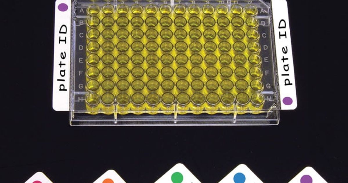 Buy SealPlate® Microplate Sealing Film with ColorTab for ELISA, EIA ...