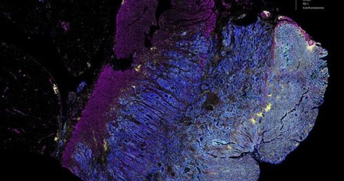 Orion Biomarkers | SelectScience