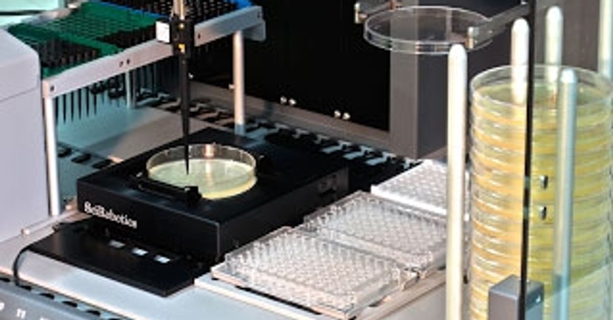 Webinar Highlights: Automate Colony Picking and Forget About Toothpicks