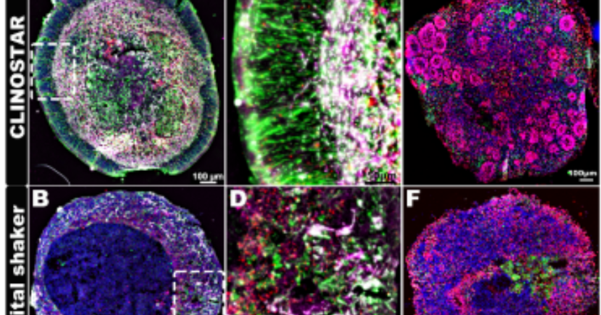 Refining biomedical research beyond animal models